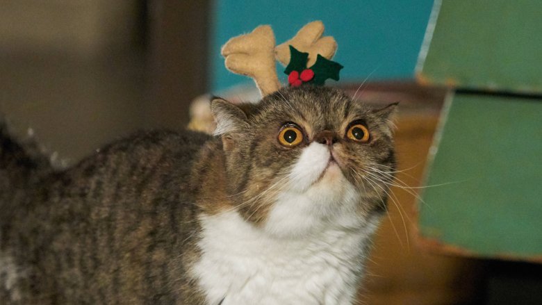 TV deaths we never saw coming in 2018